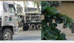 Quidan Kaisahan Negros Occidental - Company Profile & Background